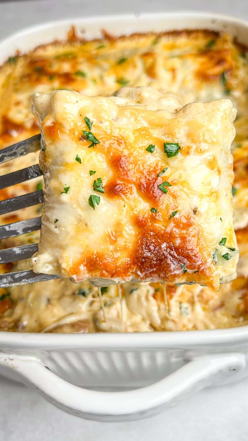 Blackened Chicken Alfredo Lasagna Roll Ups - Bad Batch Baking