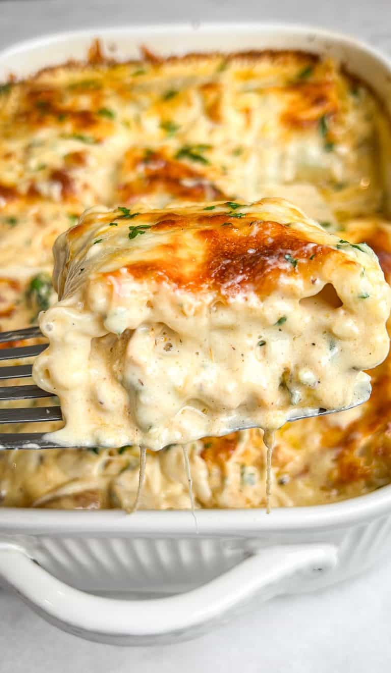Blackened Chicken Alfredo Lasagna Roll Ups - Bad Batch Baking