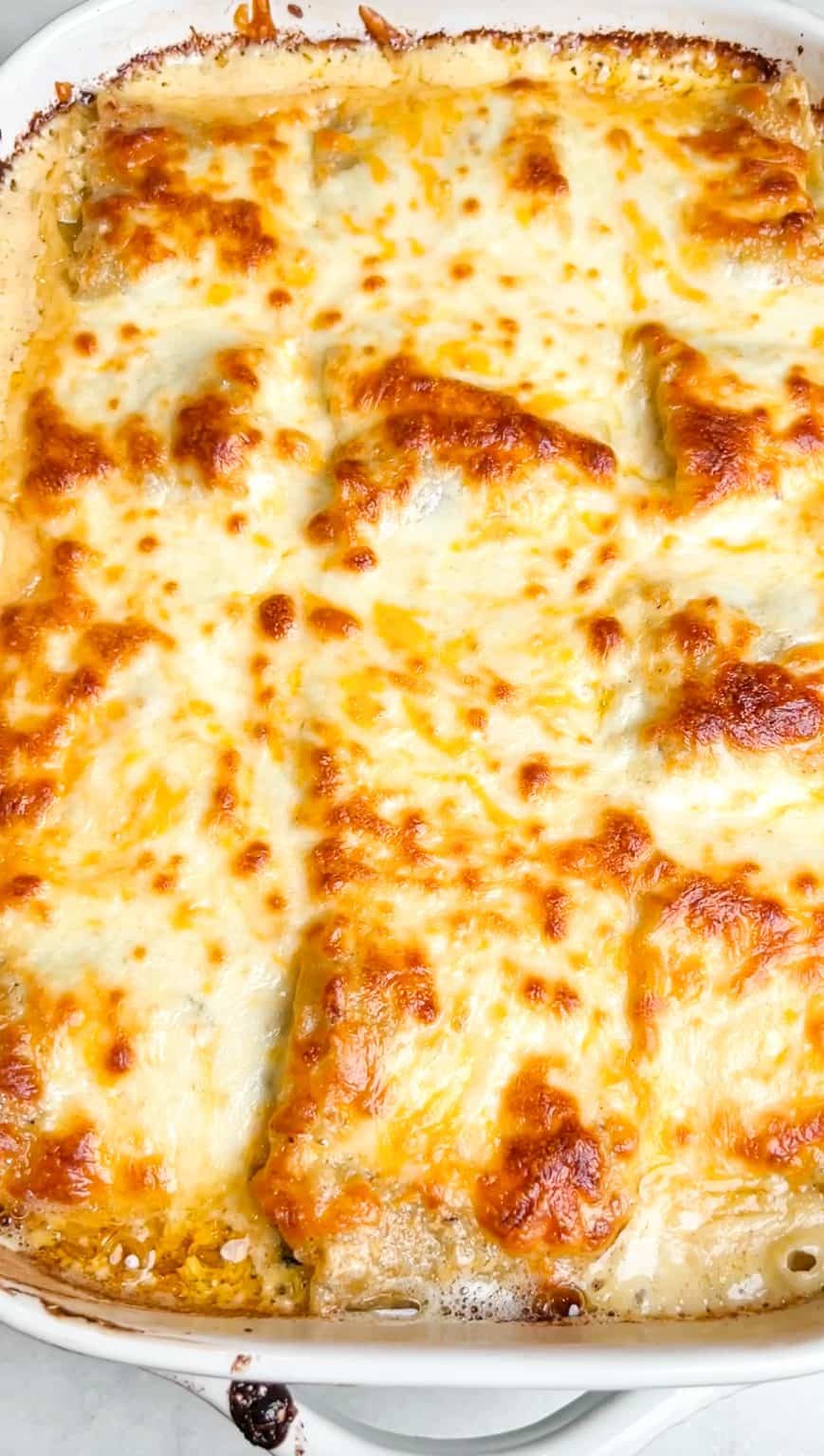 Blackened Chicken Alfredo Lasagna Roll Ups - Bad Batch Baking
