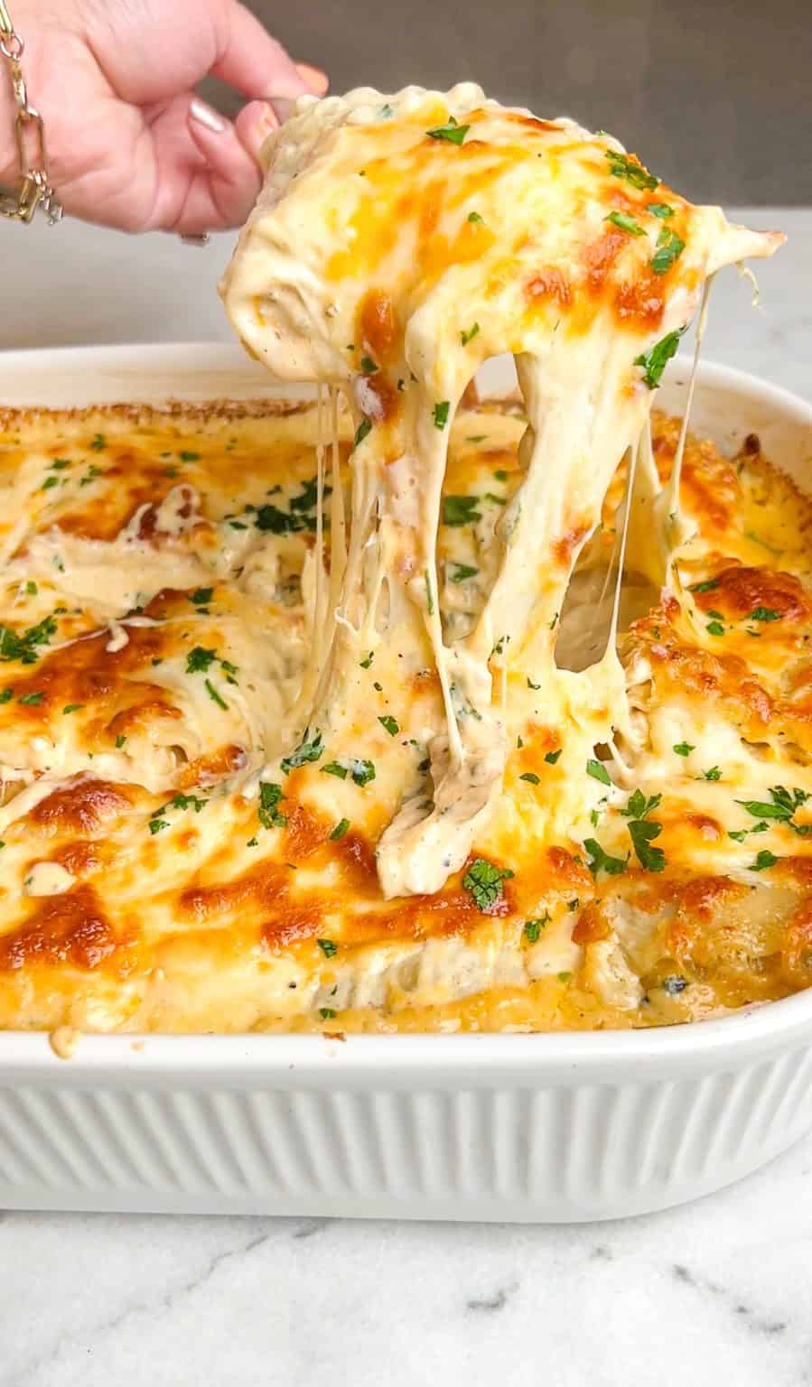Blackened Chicken Alfredo Lasagna Roll Ups - Bad Batch Baking