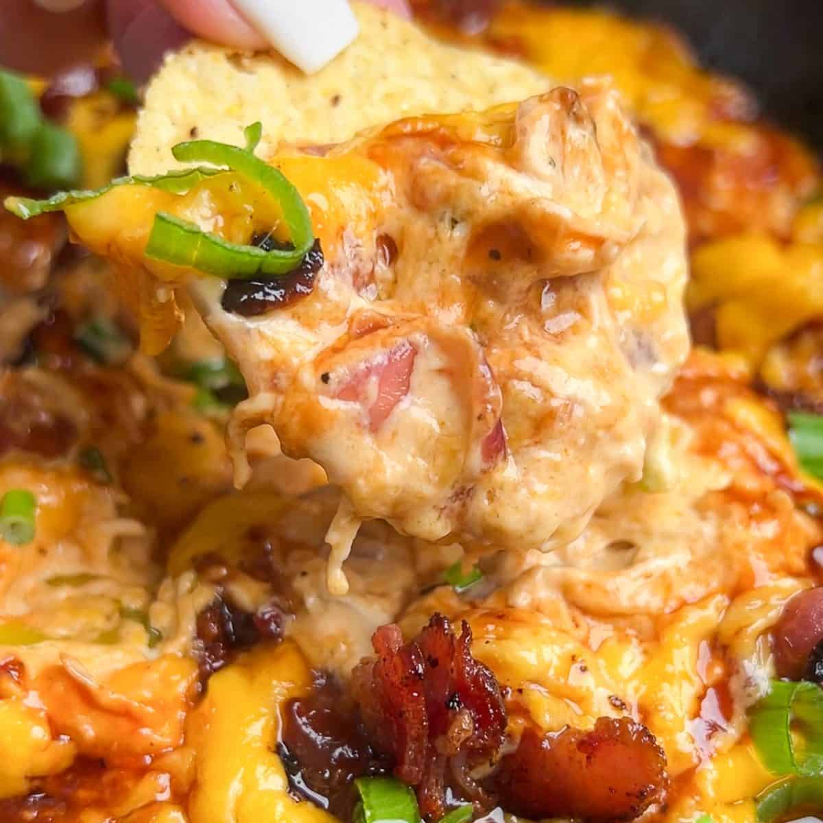 Cheesy Barbecue Chicken Dip - Bad Batch Baking